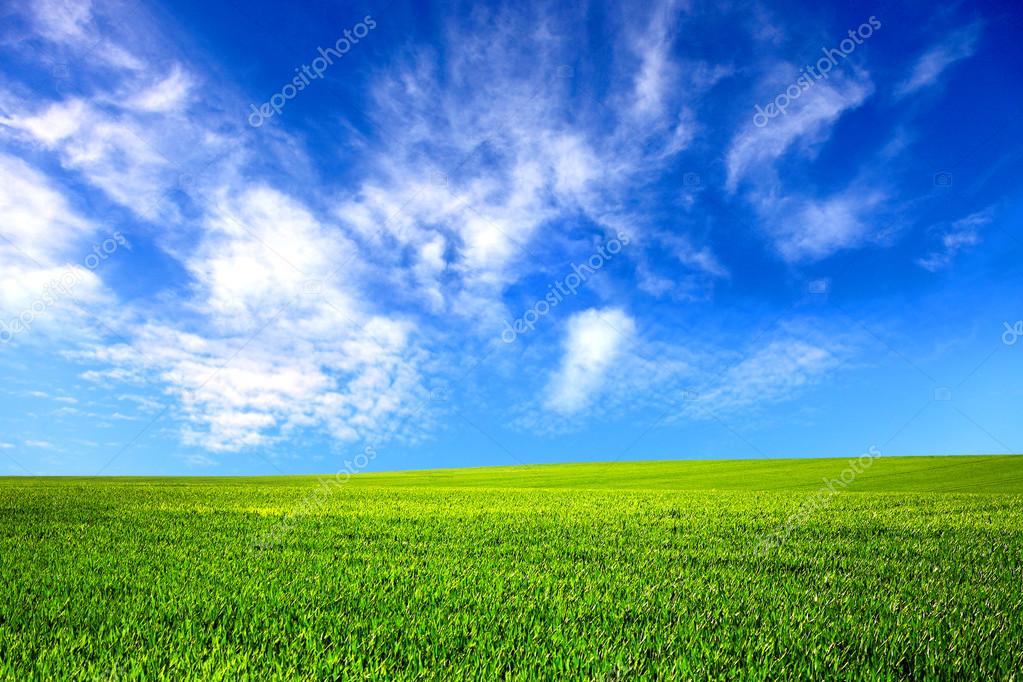 Field and sky Stock Photo by ©majaFOTO 23539937