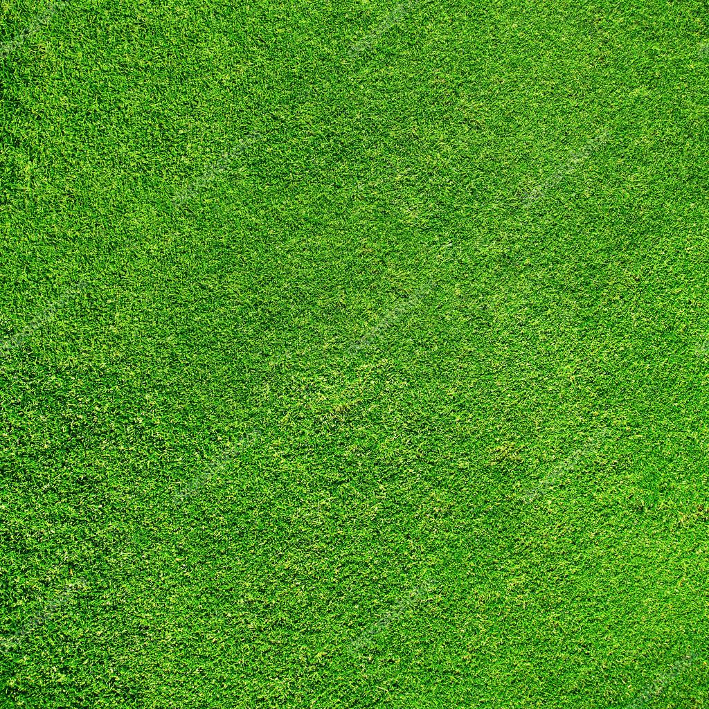 Golf Grass Texture