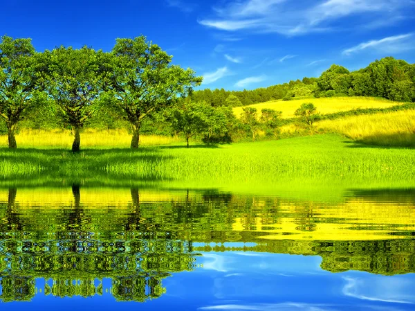 Clean environment Stock Photos, Royalty Free Clean environment Images ...