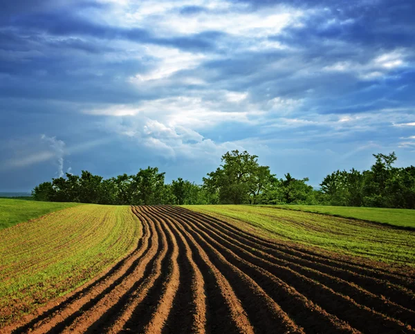 Agricultural landscape — Stock Photo © WDGPhoto #4594615