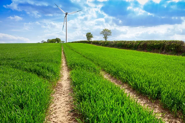 Environmental protection Stock Photos, Royalty Free Environmental ...