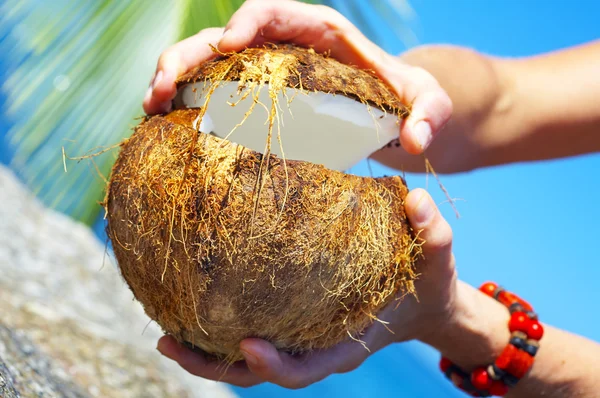 Fotos de Coco verde aberto, Imagens de Coco verde aberto sem royalties ...