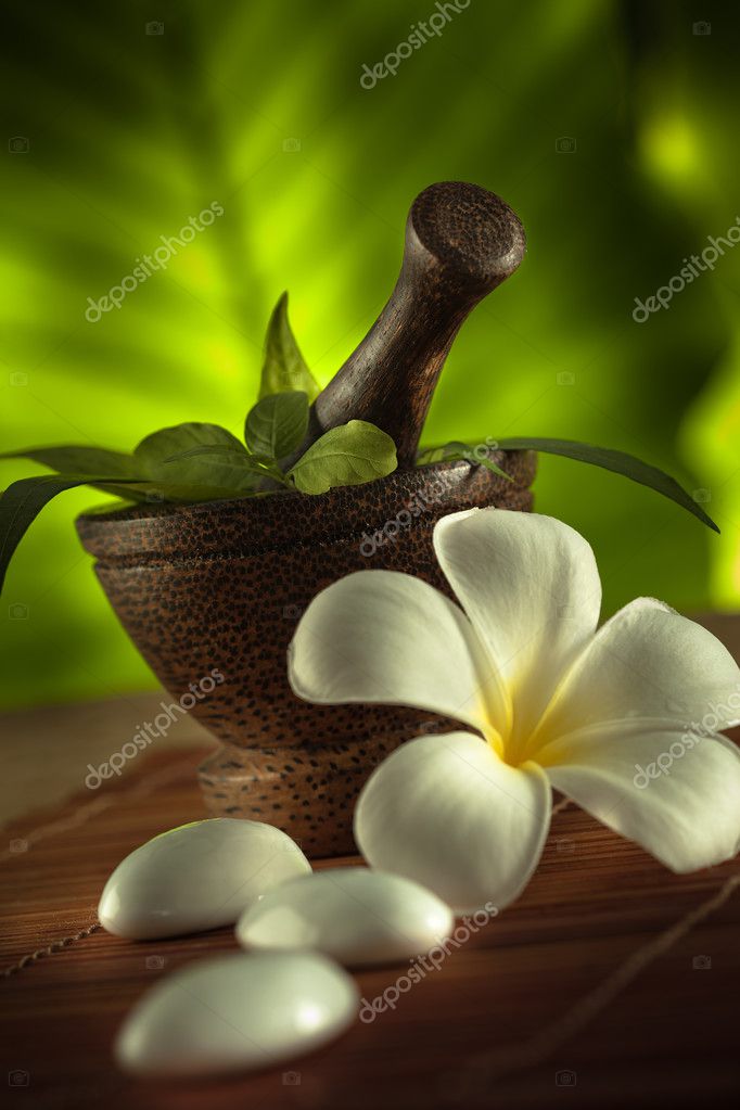 vista de cerca de los objetos temáticos del spa en la espalda de color 2024