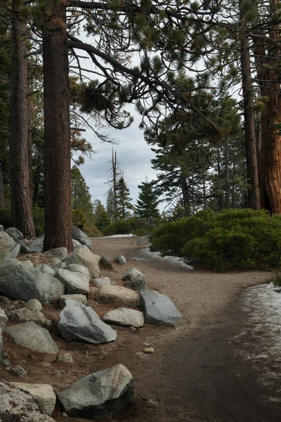 Nature unedited Stock Photos, Royalty Free Nature unedited Images ...