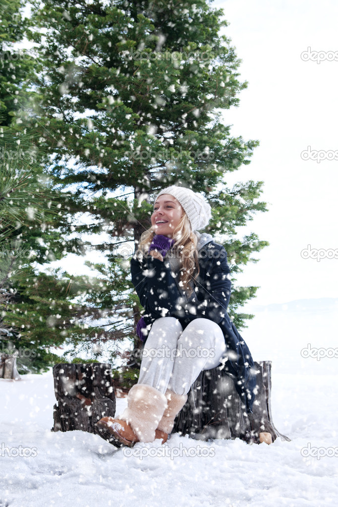 Snowfall — Stock Photo © ersler #39214877
