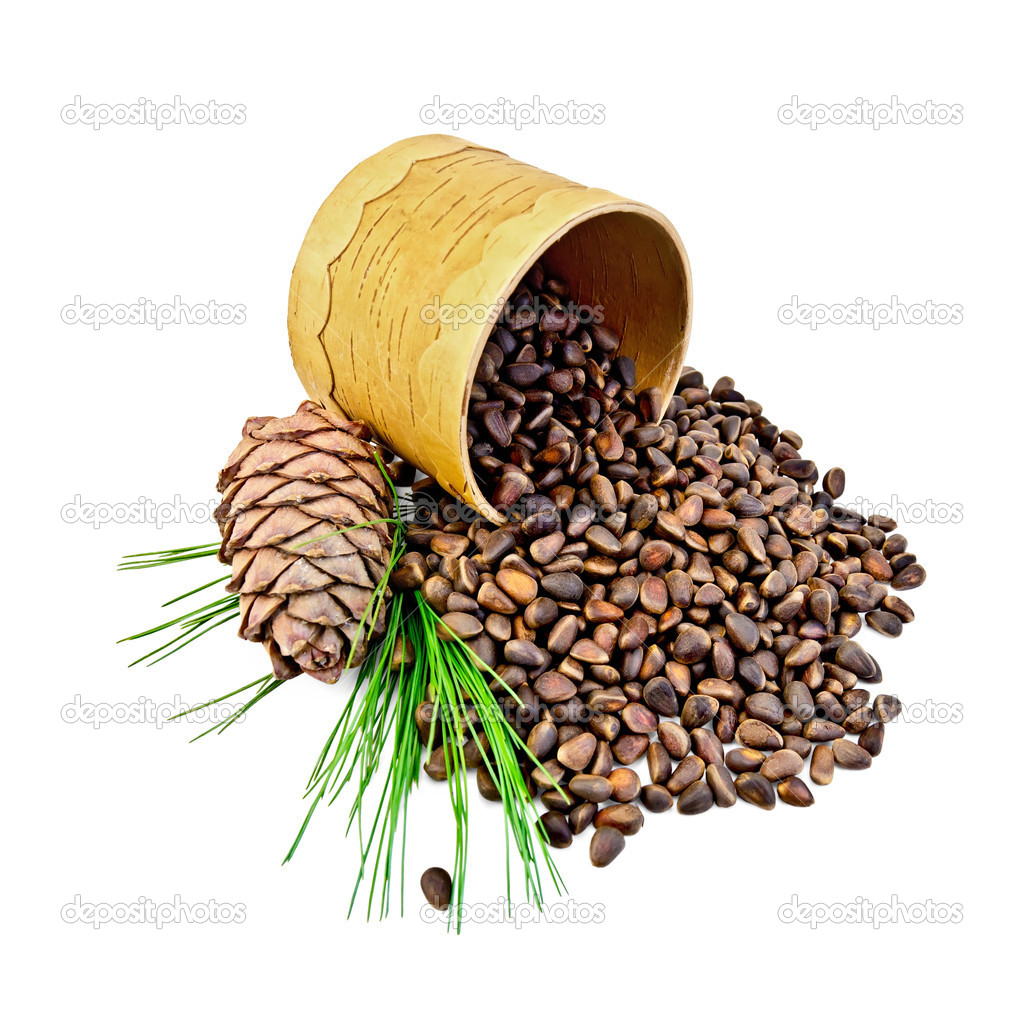 Cedrine nuts with the cone in tuesok Stock Photo by ©rezkrr 14889059
