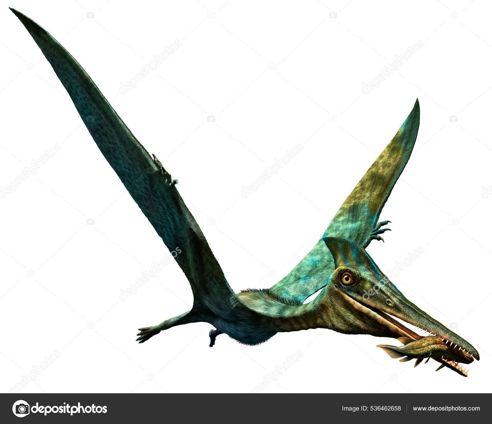 Pterodactylus Dinosaurio Prehistórico Ilustración — Foto de stock #536462658 © warpaintcobra