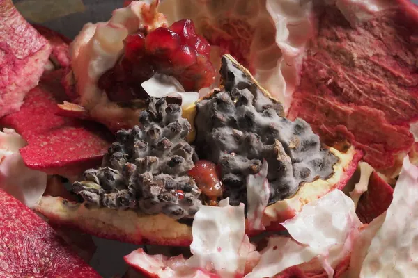 Spoiled seeds Stock Photos, Royalty Free Spoiled seeds Images ...