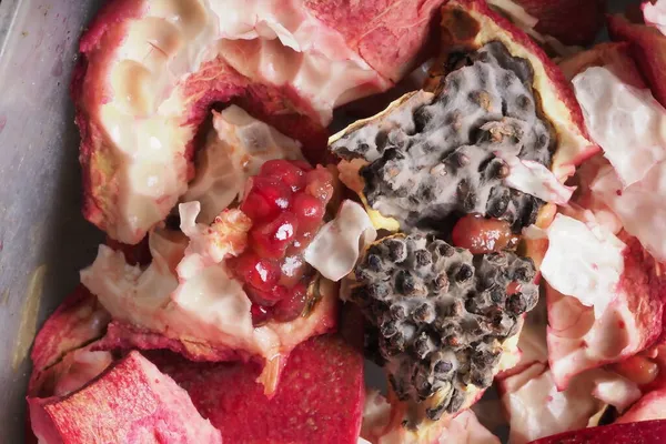 Spoiled seeds Stock Photos, Royalty Free Spoiled seeds Images ...