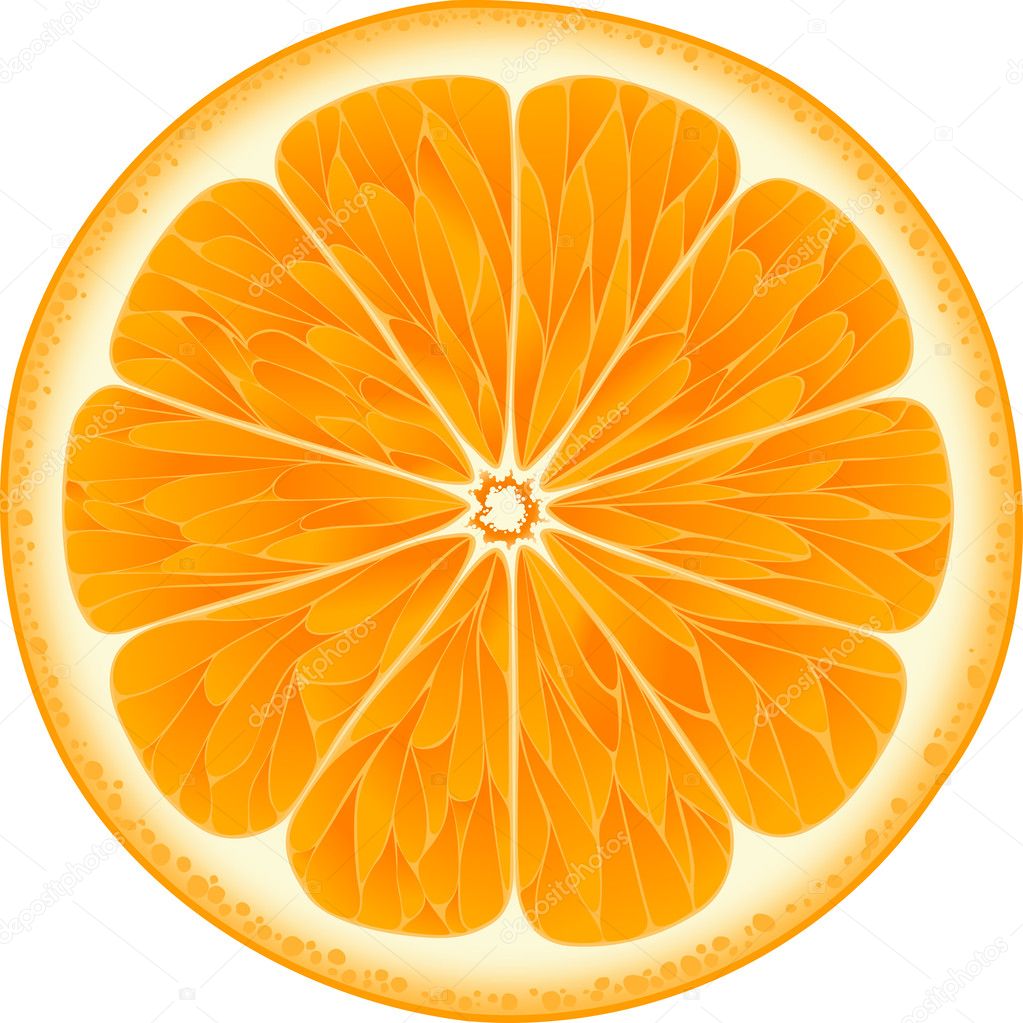 Orange on a white background Stock Vector Image by ©Kotenko #29170973