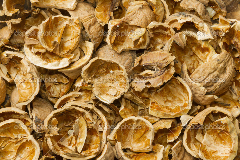Nutshell background Stock Photo by ©humbak 35210373