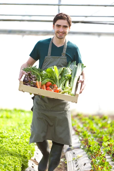 Happy farmer Stock Photos, Royalty Free Happy farmer Images | Depositphotos