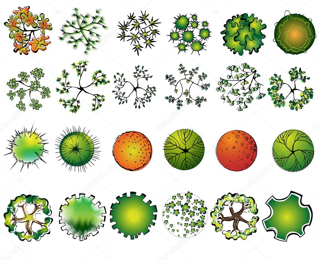 A set of colored treetop symbols, for architectural or landscape design ...