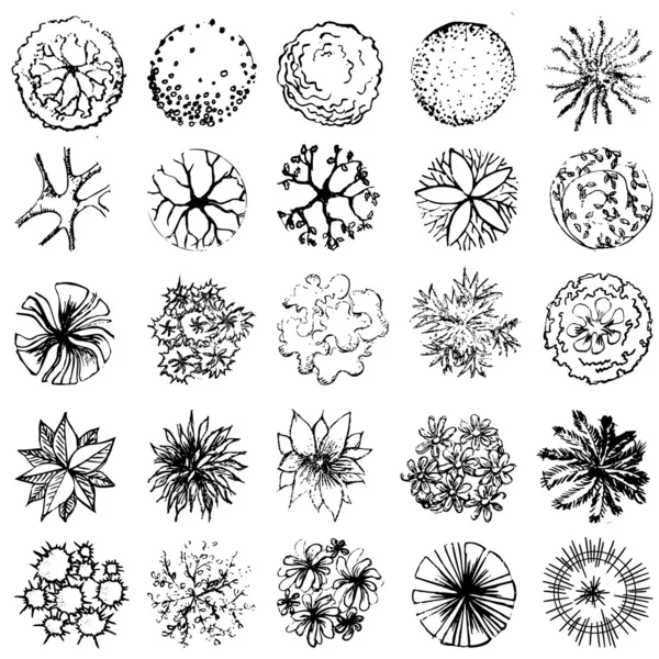 A set of colored treetop symbols, for architectural or landscape design ...