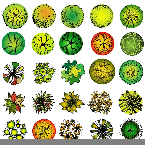 A set of treetop symbols, for architectural or landscape design Stock ...