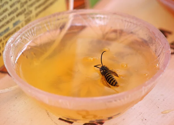 Bug juice Stock Photos, Royalty Free Bug juice Images | Depositphotos