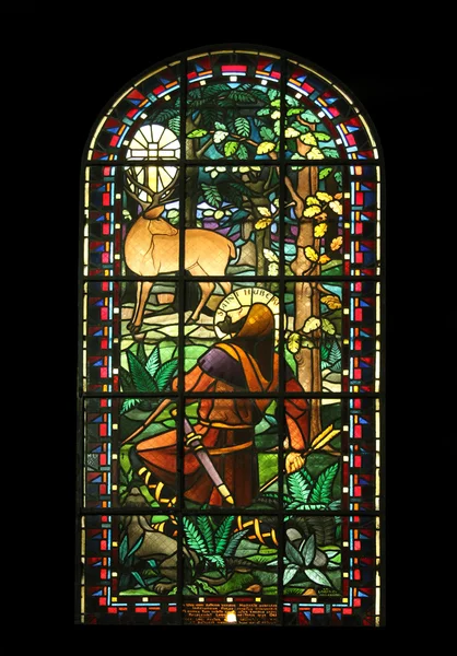 Saint hubert images libres de droit, photos de Saint hubert | Depositphotos