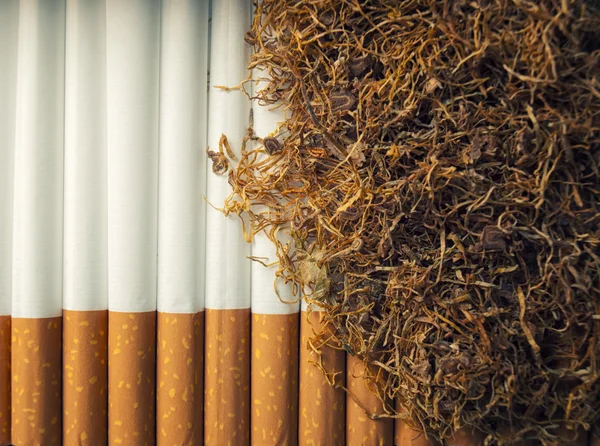 Tobacco tube Stock Photos, Royalty Free Tobacco tube Images | Depositphotos