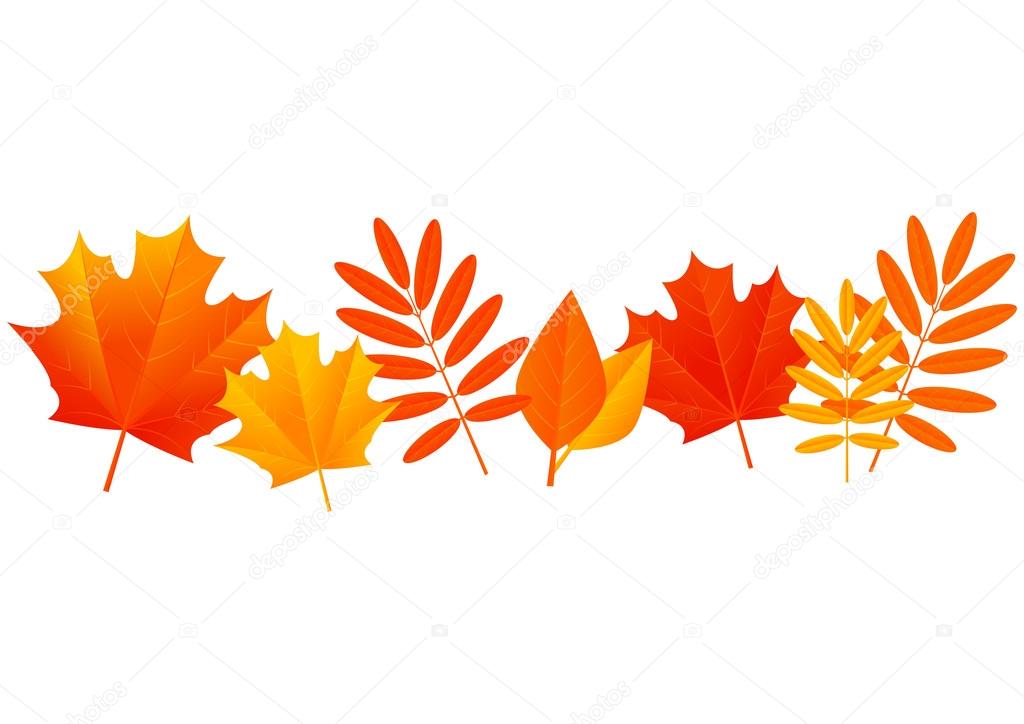 Autumn leaves border Stock Vector Image by ©Huhli13 #51463705