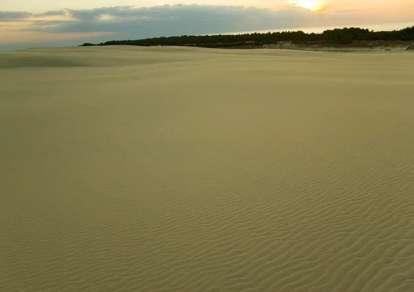 Erg sand dunes Stock Photos, Royalty Free Erg sand dunes Images ...