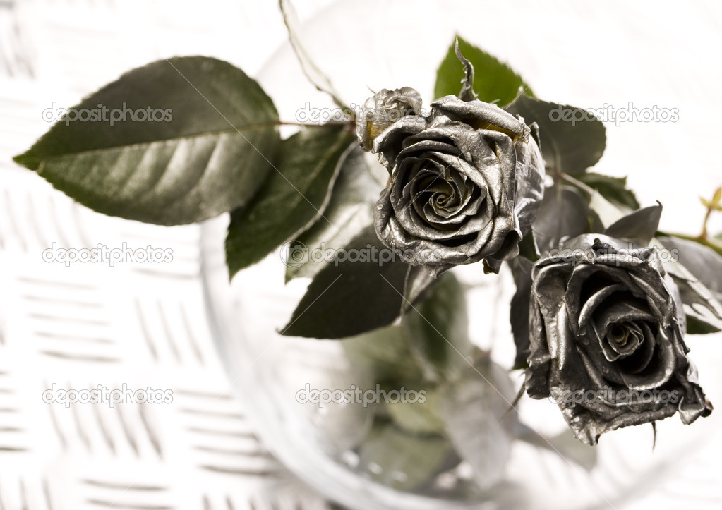 Silver roses Stock Photo by ©JanPietruszka 30775079
