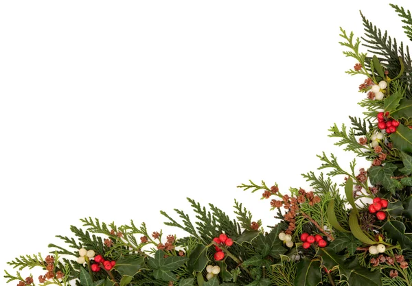 Christmas Greenery Border — Stock Photo © marilyna #30469315