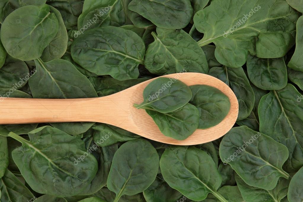 Spinach Stock Photo by ©marilyna 25075237