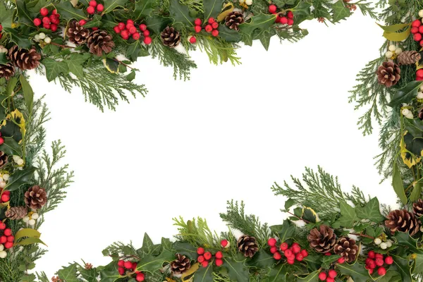 Christmas Greenery Border — Stock Photo © marilyna #30469315