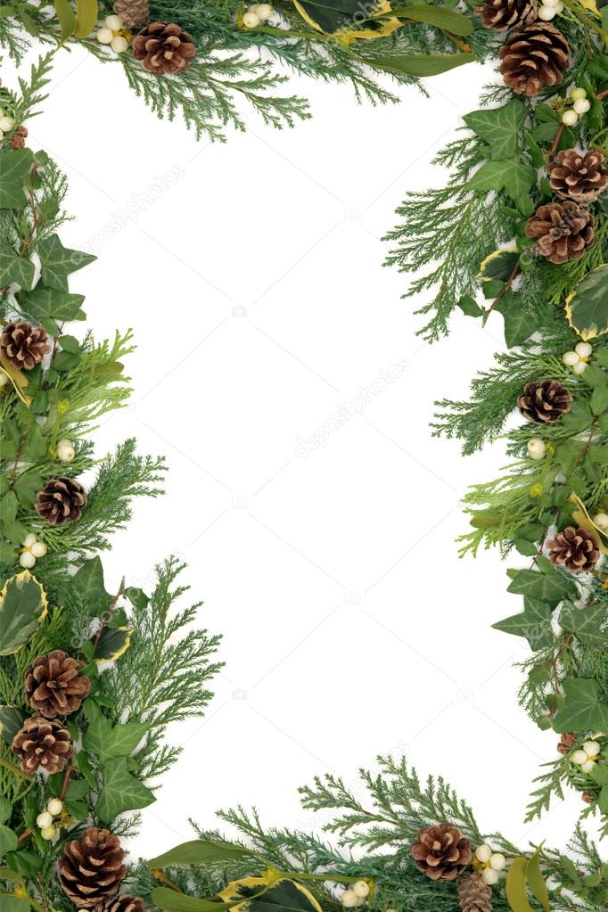 Winter Floral Border — Stock Photo © marilyna #31857739