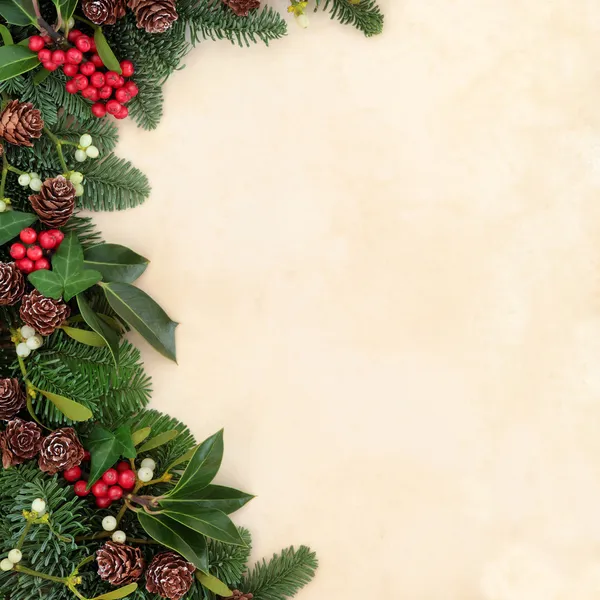 Greenery border Stock Photos, Royalty Free Greenery border Images ...