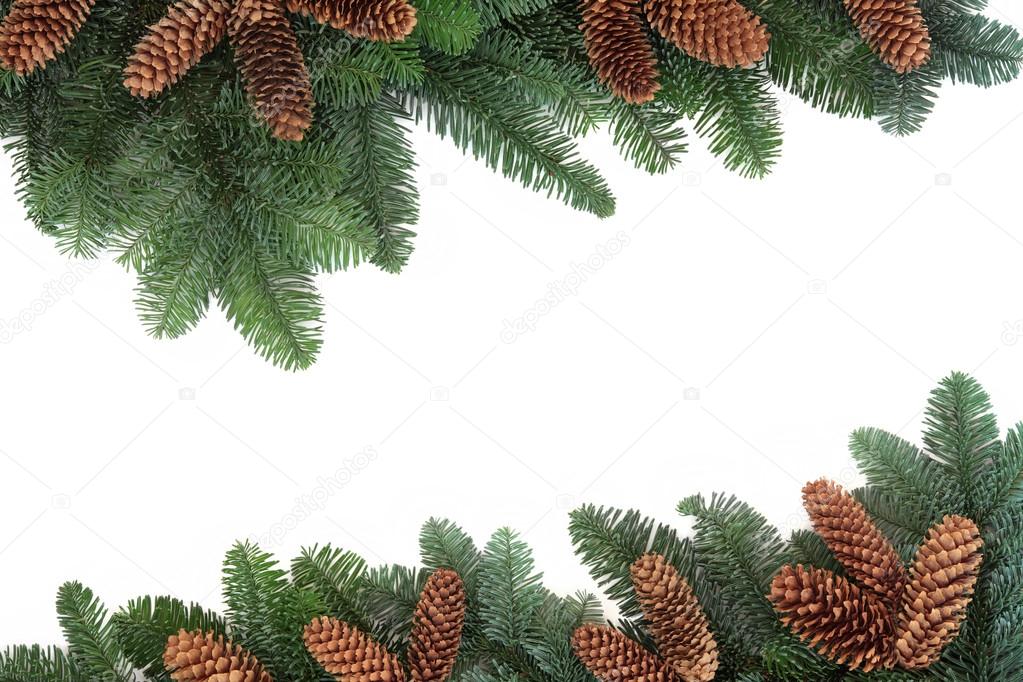 Pine Cone Border