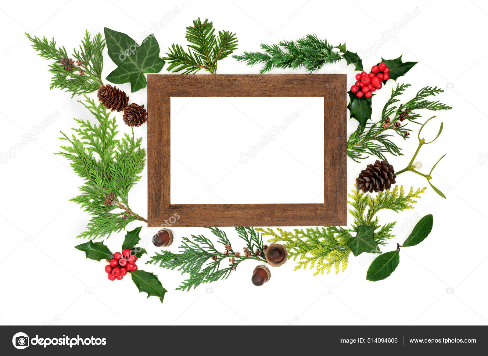 Natural European Winter Flora Greenery Nature Composition Wooden Frame ...