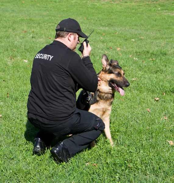 Security dog Pictures, Security dog Stock Photos & Images | Depositphotos®