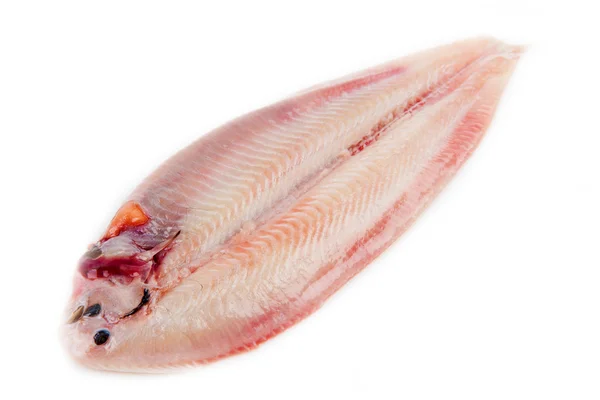 Tripe fish Stock Photos, Royalty Free Tripe fish Images | Depositphotos