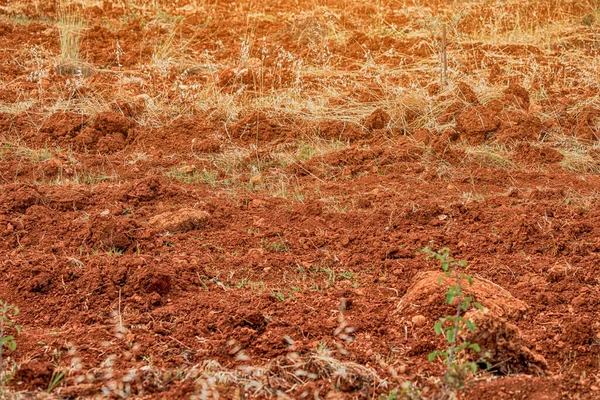 Sol argileux rouge images libres de droit, photos de Sol argileux rouge ...