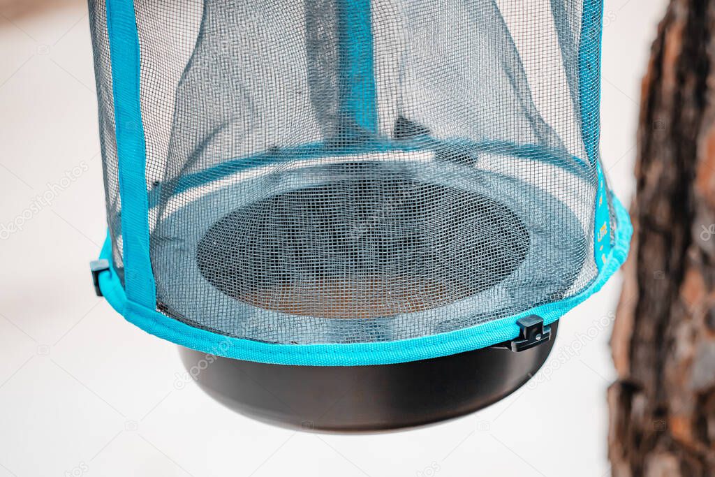 A modern trap for protection from insect pests, flies and bark beetles ...