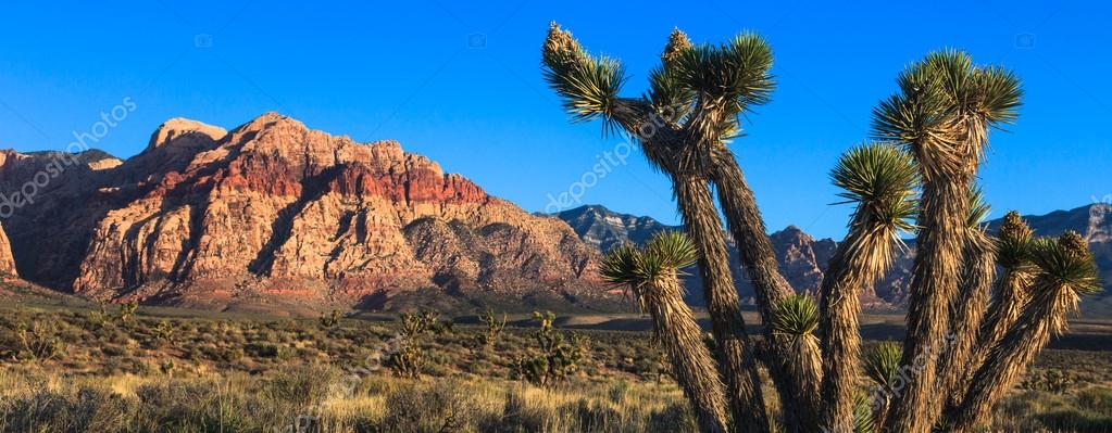 Nevada desert Stock Photos, Royalty Free Nevada desert Images ...