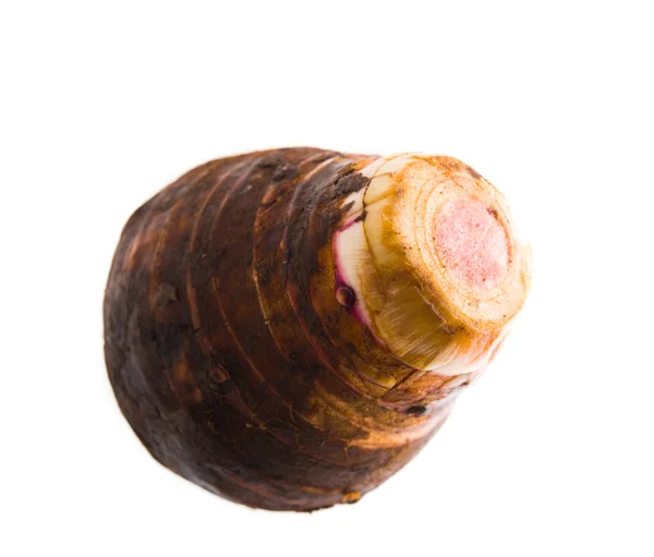 Colocasia corms Stock Photos, Royalty Free Colocasia corms Images ...