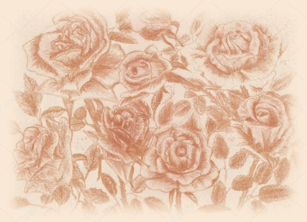Sepia rose drawing | Sepia roses pensil draw floral vintage background ...