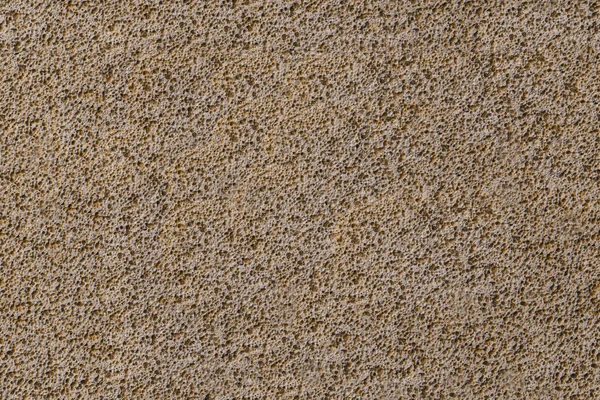 Scrub texture Images - Search Images on Everypixel