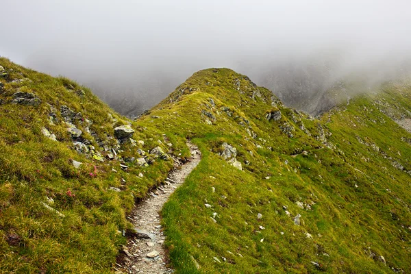 Trail Stock Photos, Royalty Free Trail Images | Depositphotos