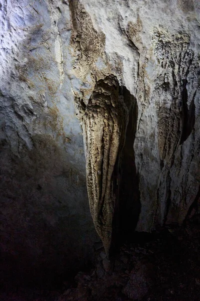 Termite tunnel Stock Photos, Royalty Free Termite tunnel Images ...