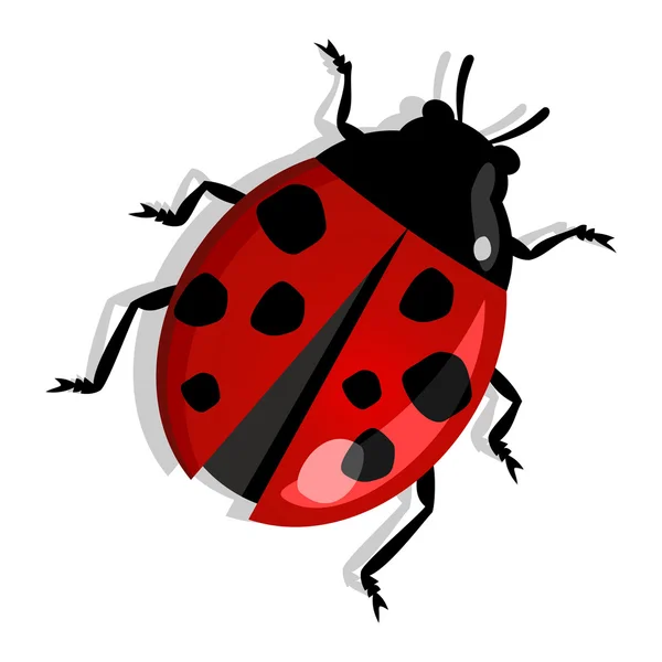 Clipart: cartoon ladybugs | Cute ladybug cartoon isolated on white ...