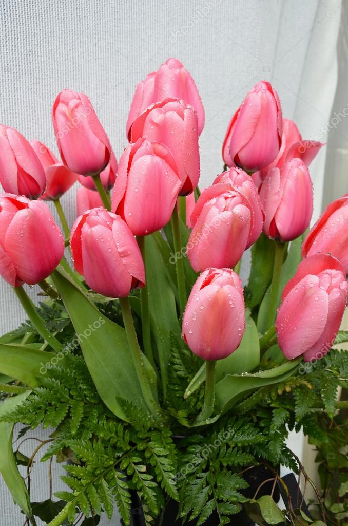 Pink tulip floral arrangement Stock Photo by ©montana 24077497