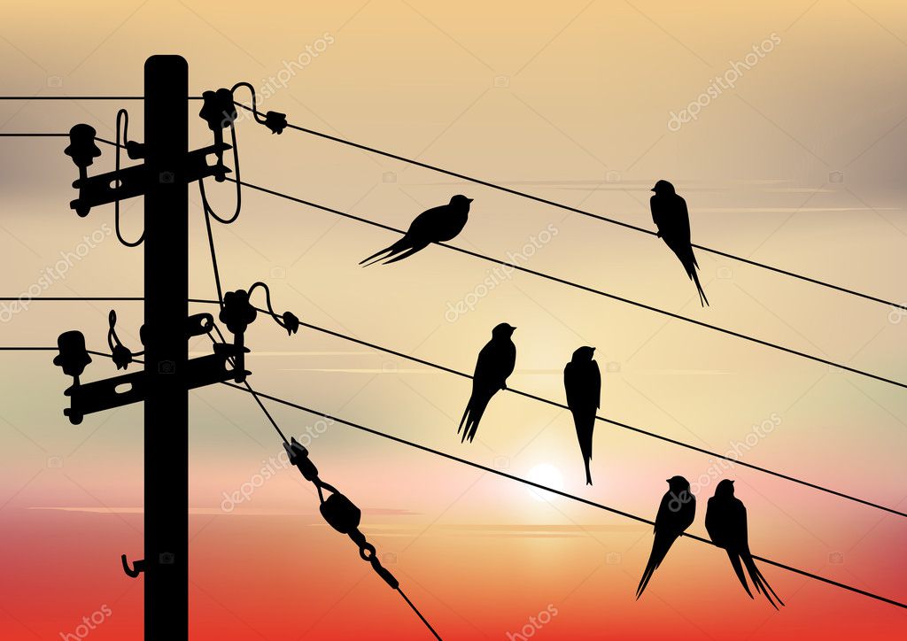 Birds migration. Stock Vector by ©lakalla 32867797