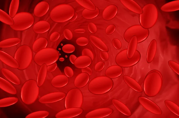 Stream of blood cells Stock Photo by ©witoldkr1 24865433