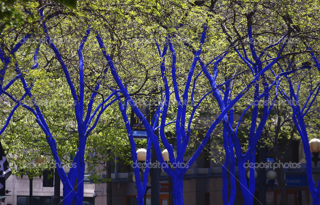 Green Trees with Blue Trunks in Seattle Stock Photo by ©dbvirago 13714864