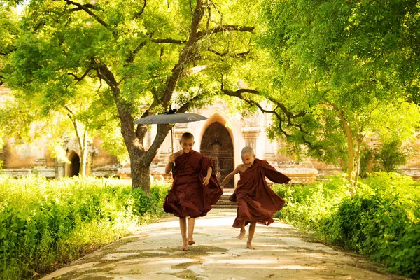 Two little monks - Stock Image - Everypixel