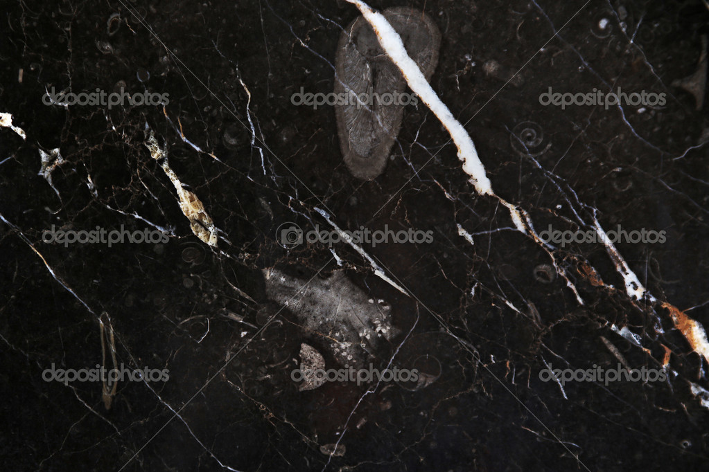 Black marble Stock Photo by ©elfrock 43700045