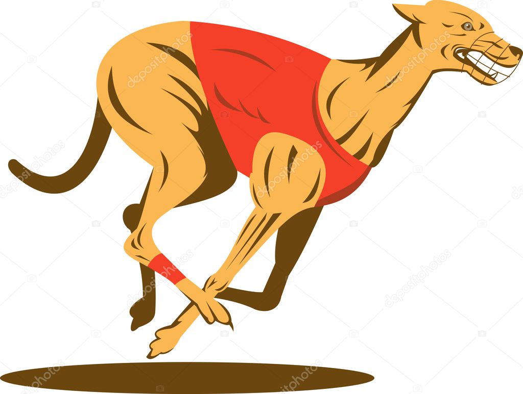 Greyhound dog racing Stock Vector by ©patrimonio 27774369